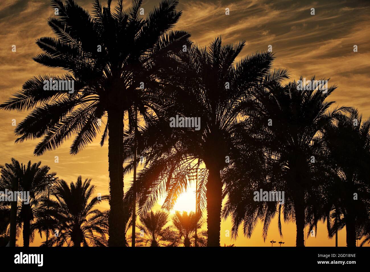 Atmosphere bahrain grand prix 2020 hi-res stock photography and images ...