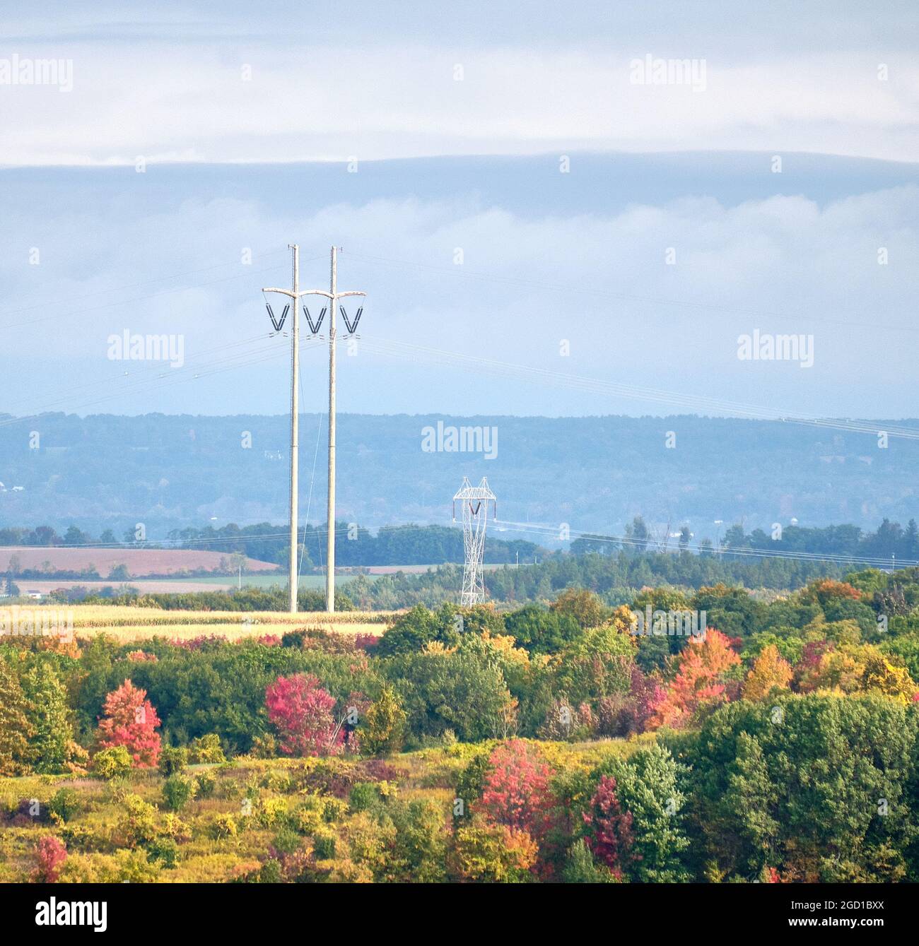 A high tension pylon and a smaller cousin tower over the autumn ...