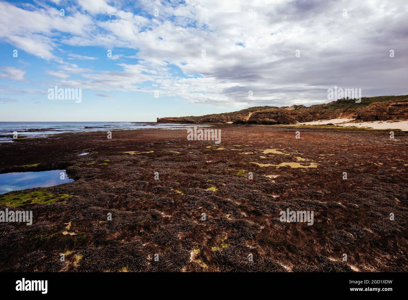 The lesser known Monforts Beach and its rockpool formations on a sunny ...