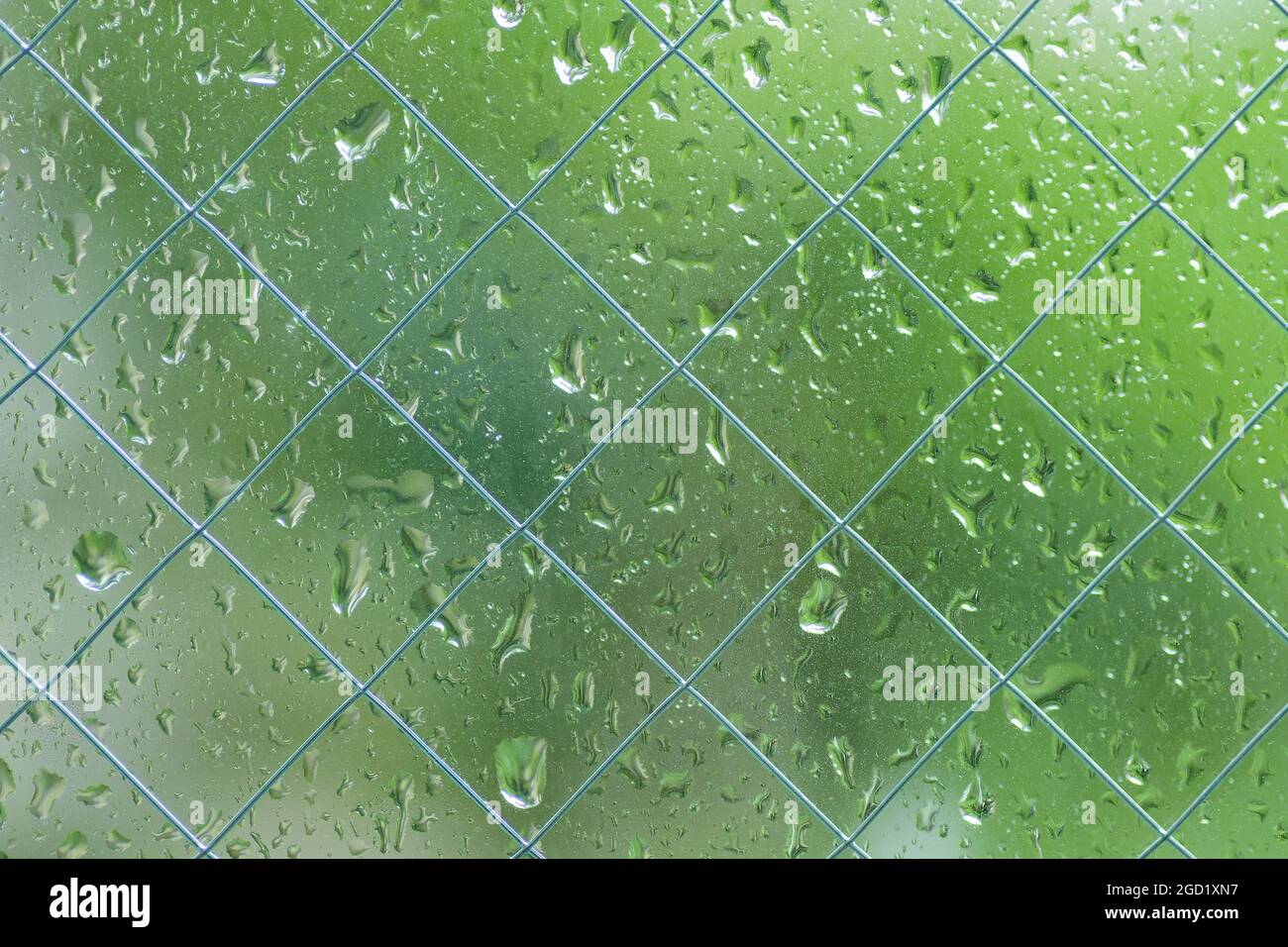 Texture of rain drops on glass window Stock Photo - Alamy