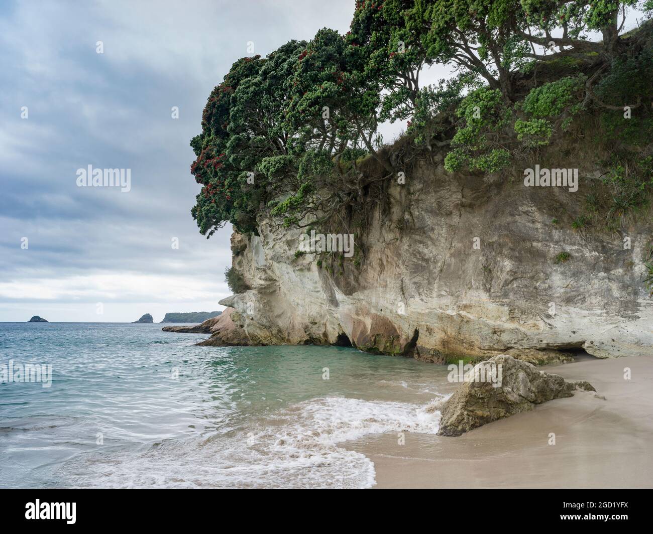 Rock formations on the coast, Cathedral Cove, Coromandel Peninsula ...