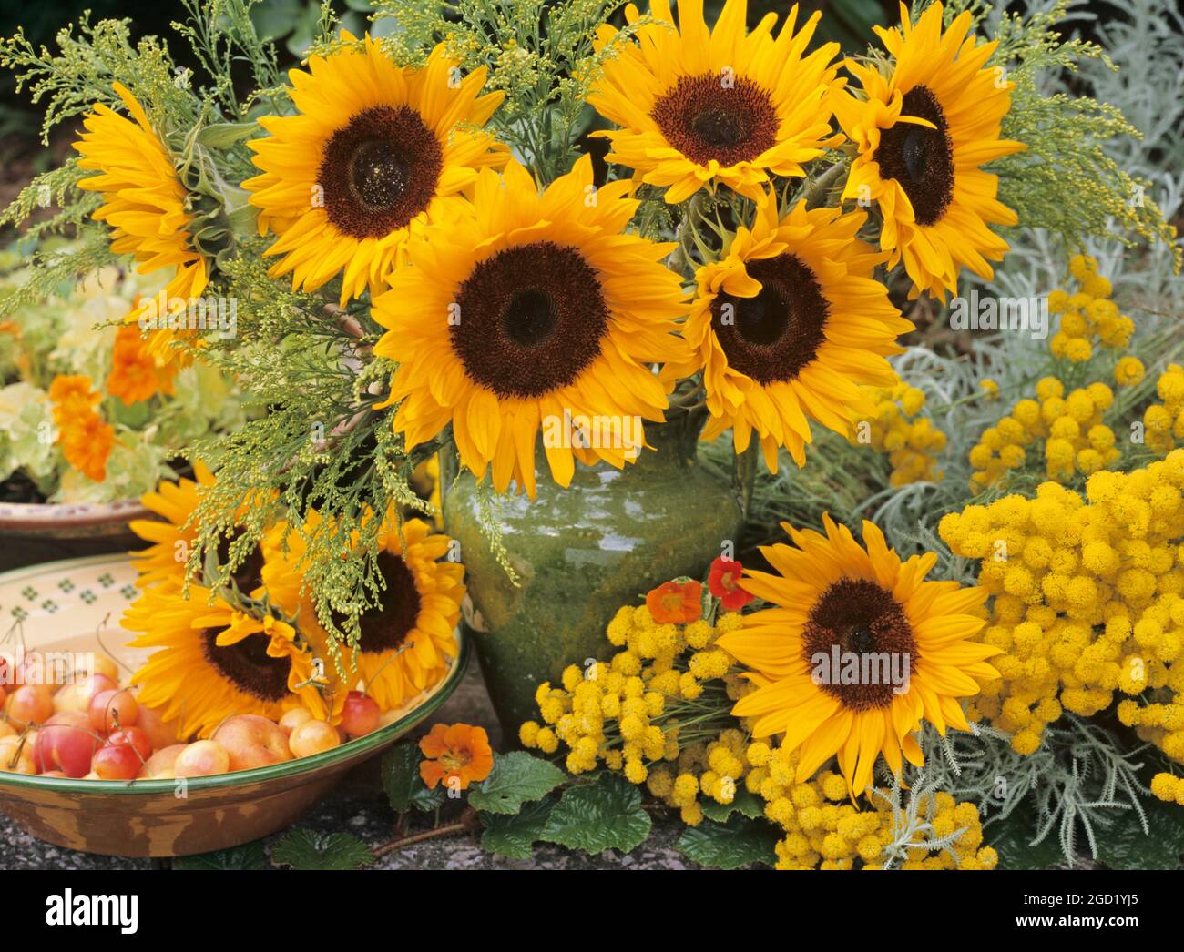 Solidago Bouquet High Resolution Stock Photography and Images - Alamy