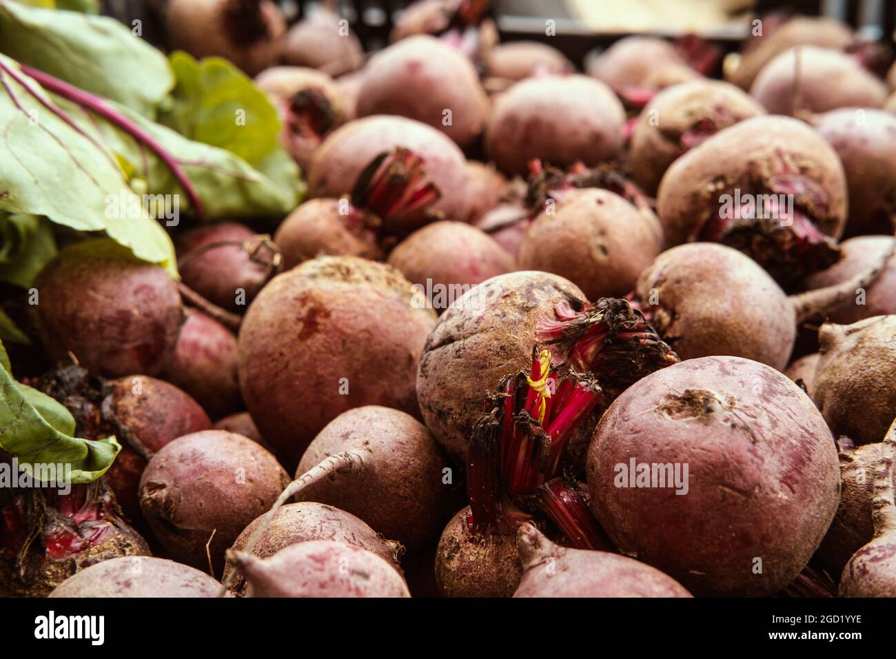 Organic red beets on display at local farmers market Stock Photo - Alamy
