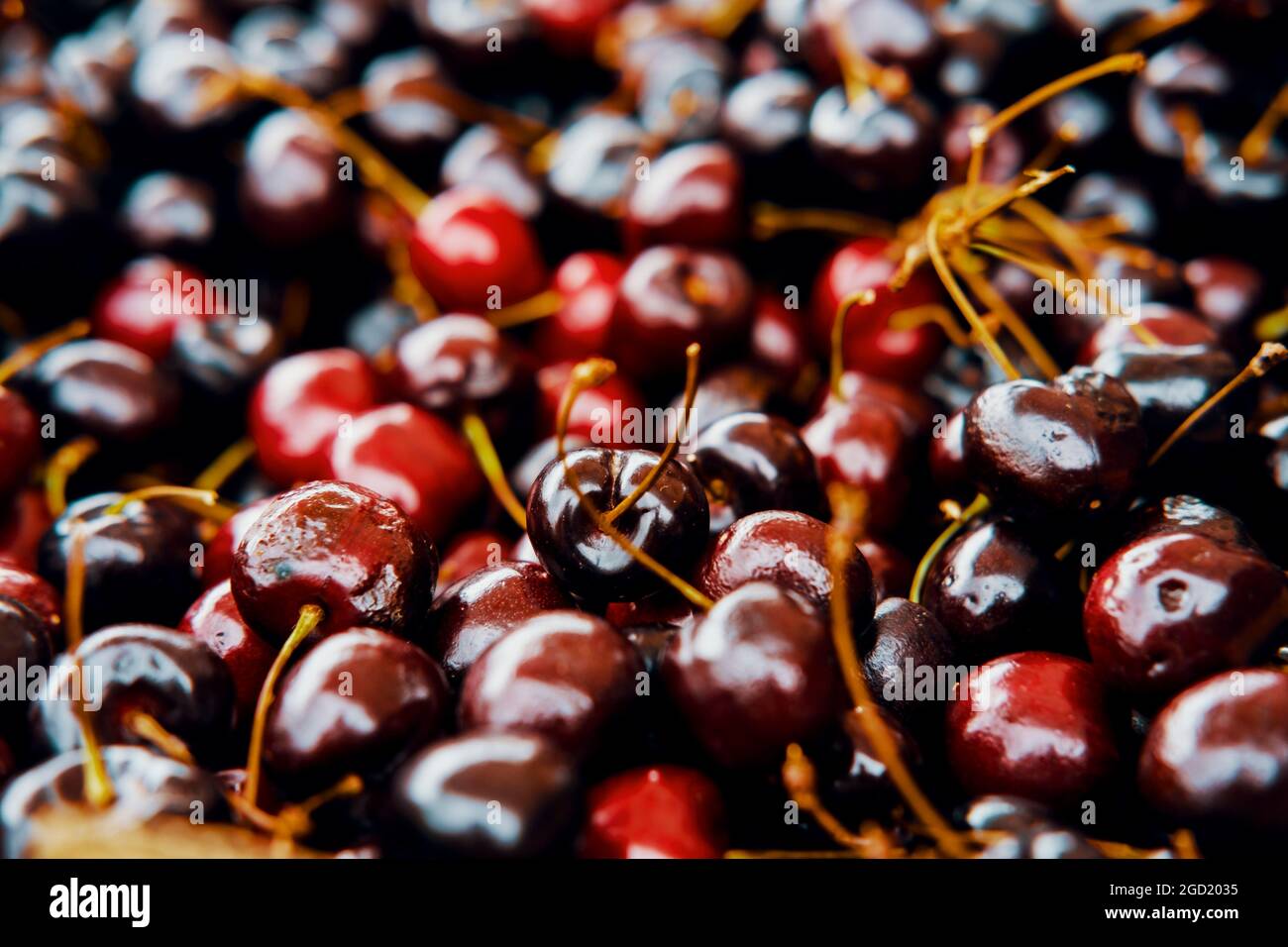 Organic farmers market black cherries freshly picked Stock Photo - Alamy