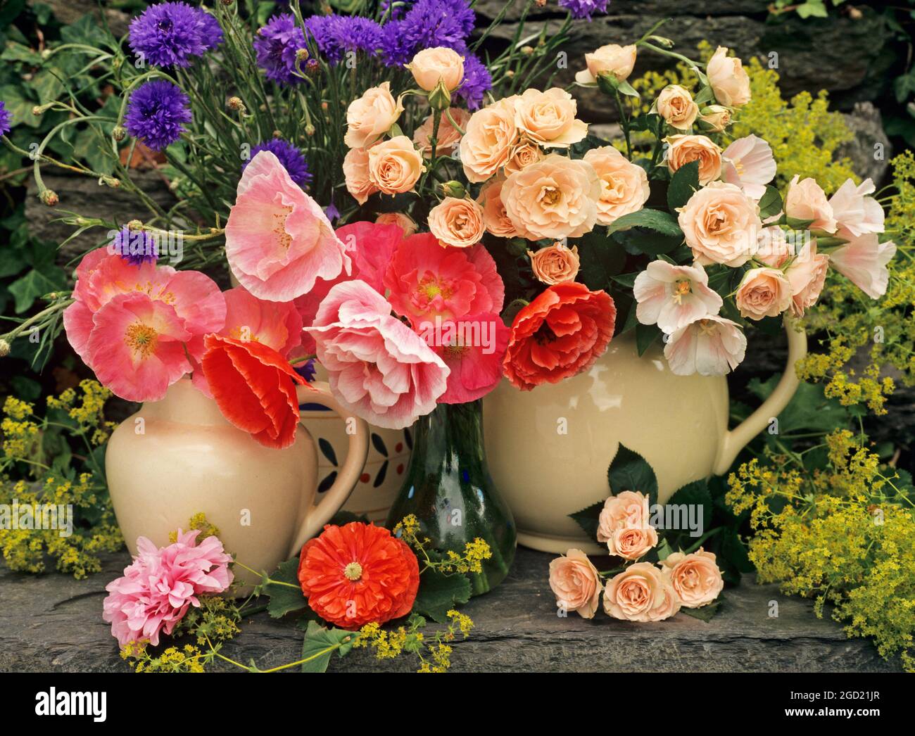 botany, roses, centaurea cyanus and papaver in jugs on a stone wall ...