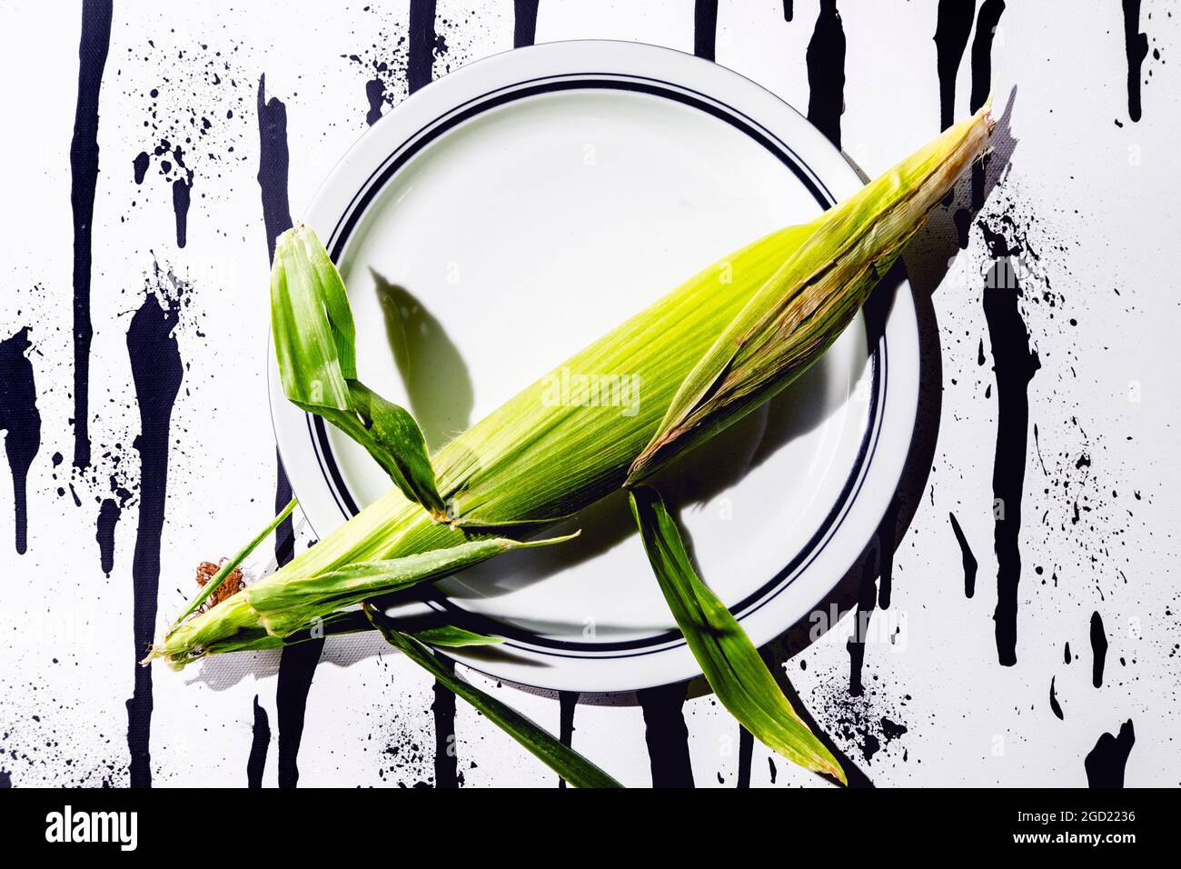 Corn in husk on abstract modern paint drips and spatters background ...