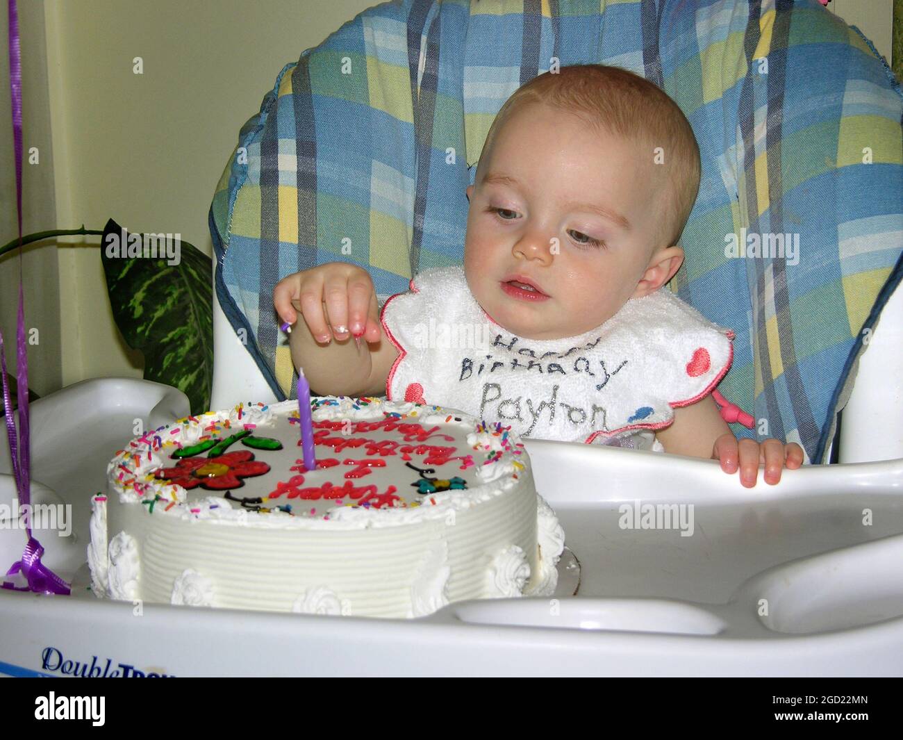 Female 1 one year old baby girl celebrates first birthday Stock Photo ...