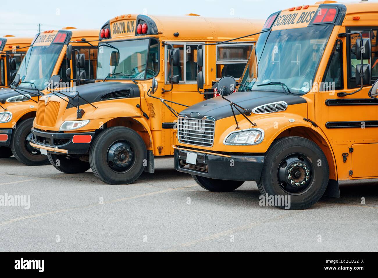 Group of yellow school buses standing in line row in city street ...
