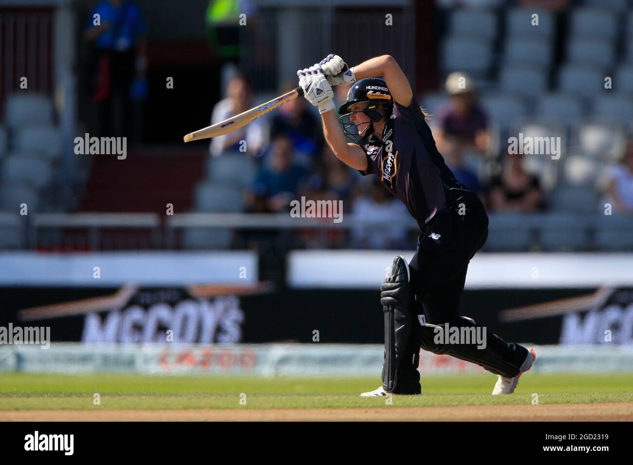 Lamb manchester hi-res stock photography and images - Alamy