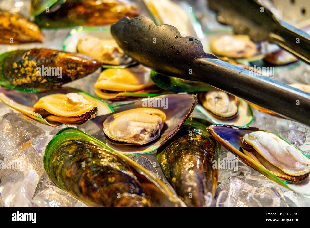 Pile of fresh mussels with shells served cold on ice Stock Photo - Alamy