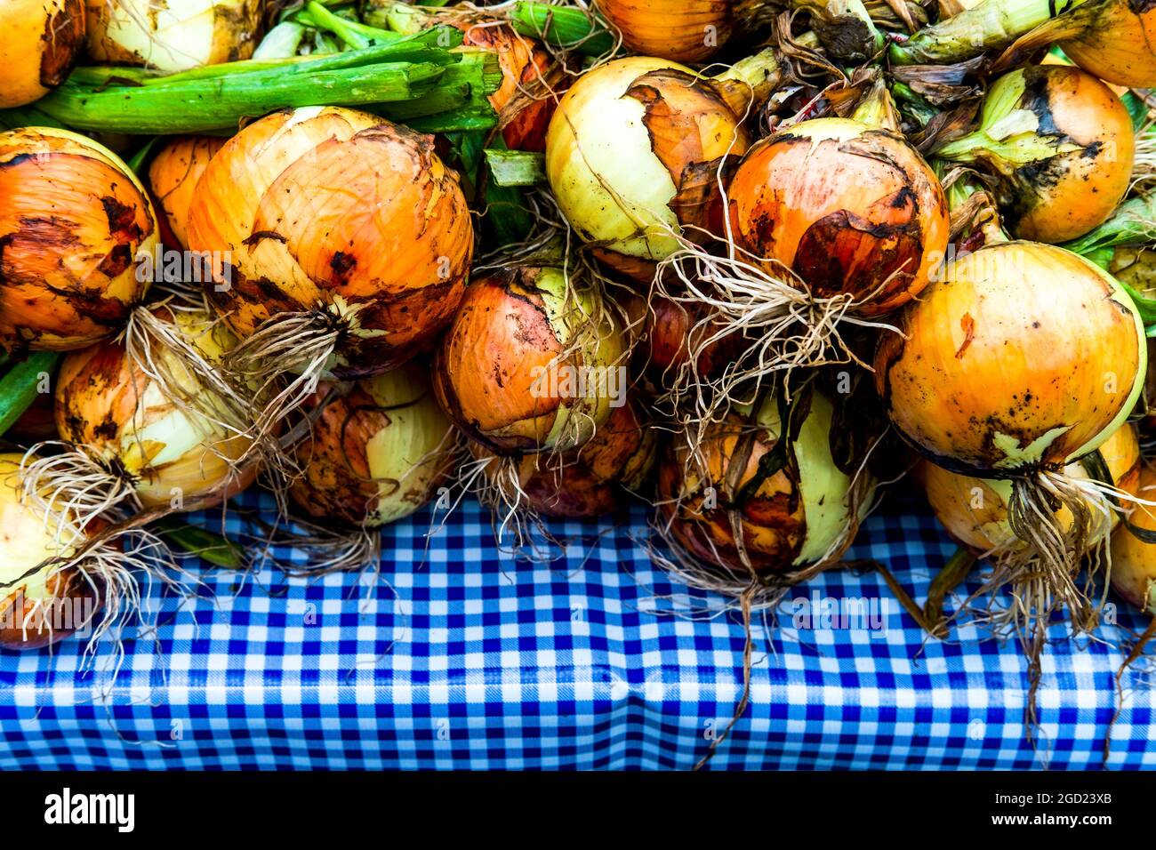 Pile of fresh organic onions on display at local farmers market Stock ...