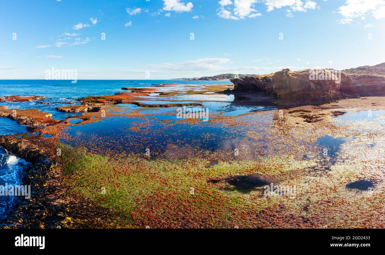 Rockpool melbourne hi-res stock photography and images - Alamy