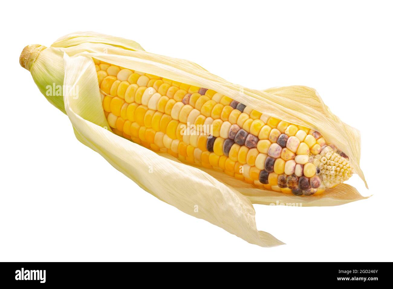 Heirloom corn hi-res stock photography and images - Alamy