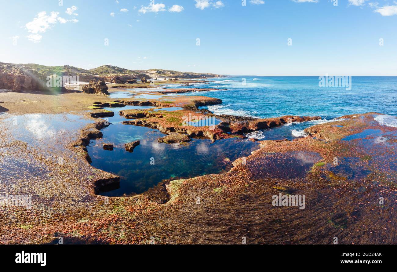 Rockpool melbourne hi-res stock photography and images - Alamy