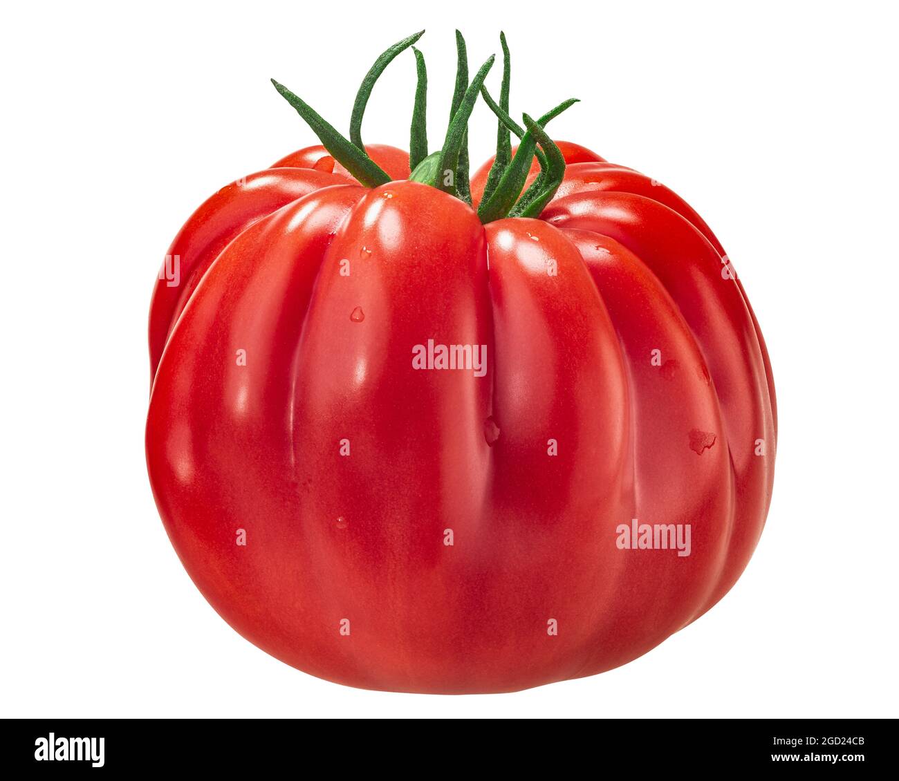 Ribbed heirloom tomato (Solanum lycopersicum fruit), Mushroom Basket ...