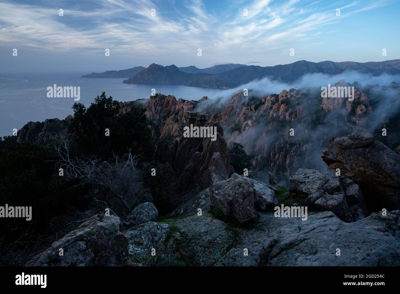 Capu hi-res stock photography and images - Alamy