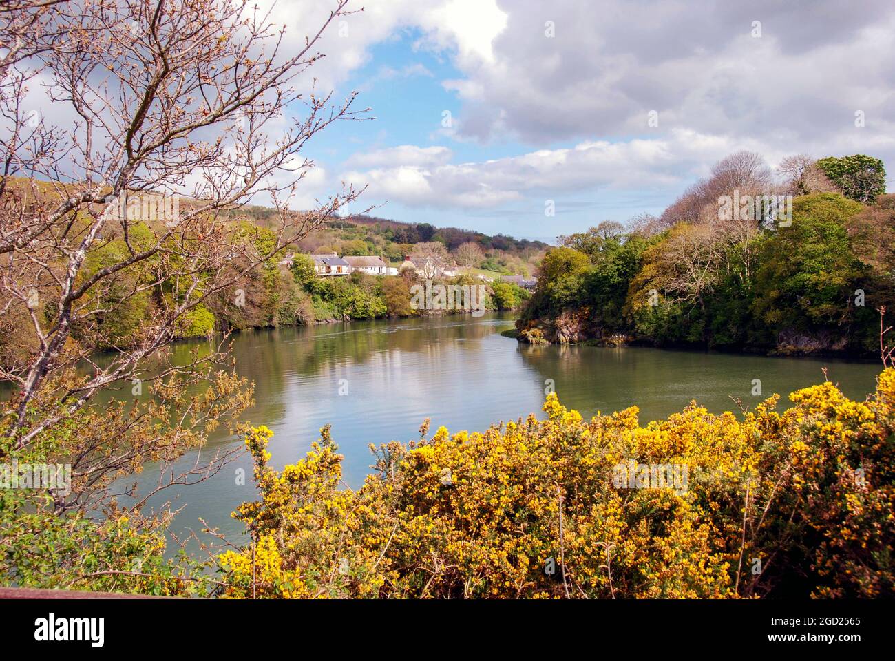Cardigan Wales High Resolution Stock Photography and Images - Alamy