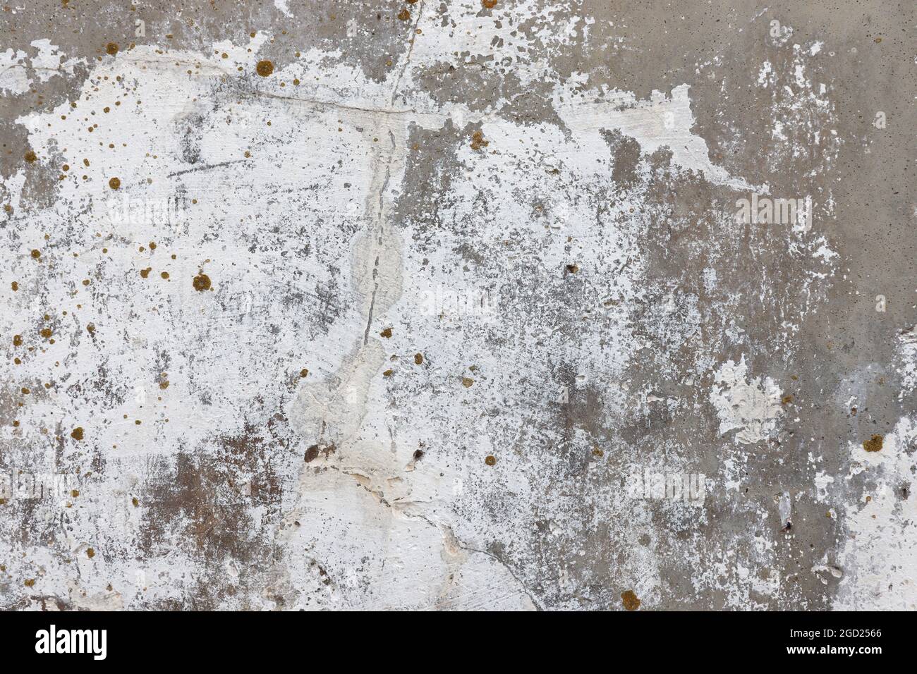 Cement Slab Texture
