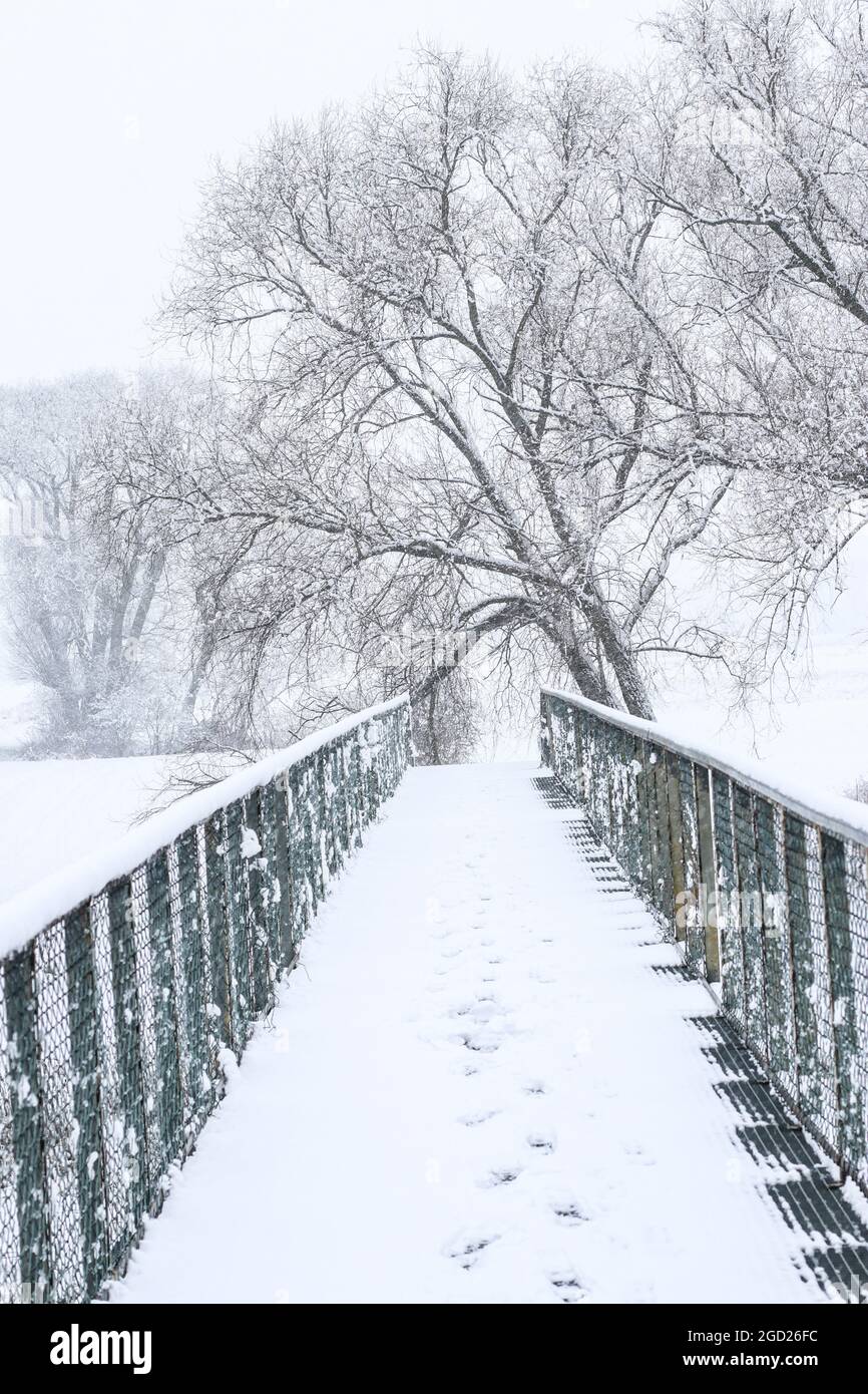 Metal footbridge over small river covered in snow during snowfall lead ...