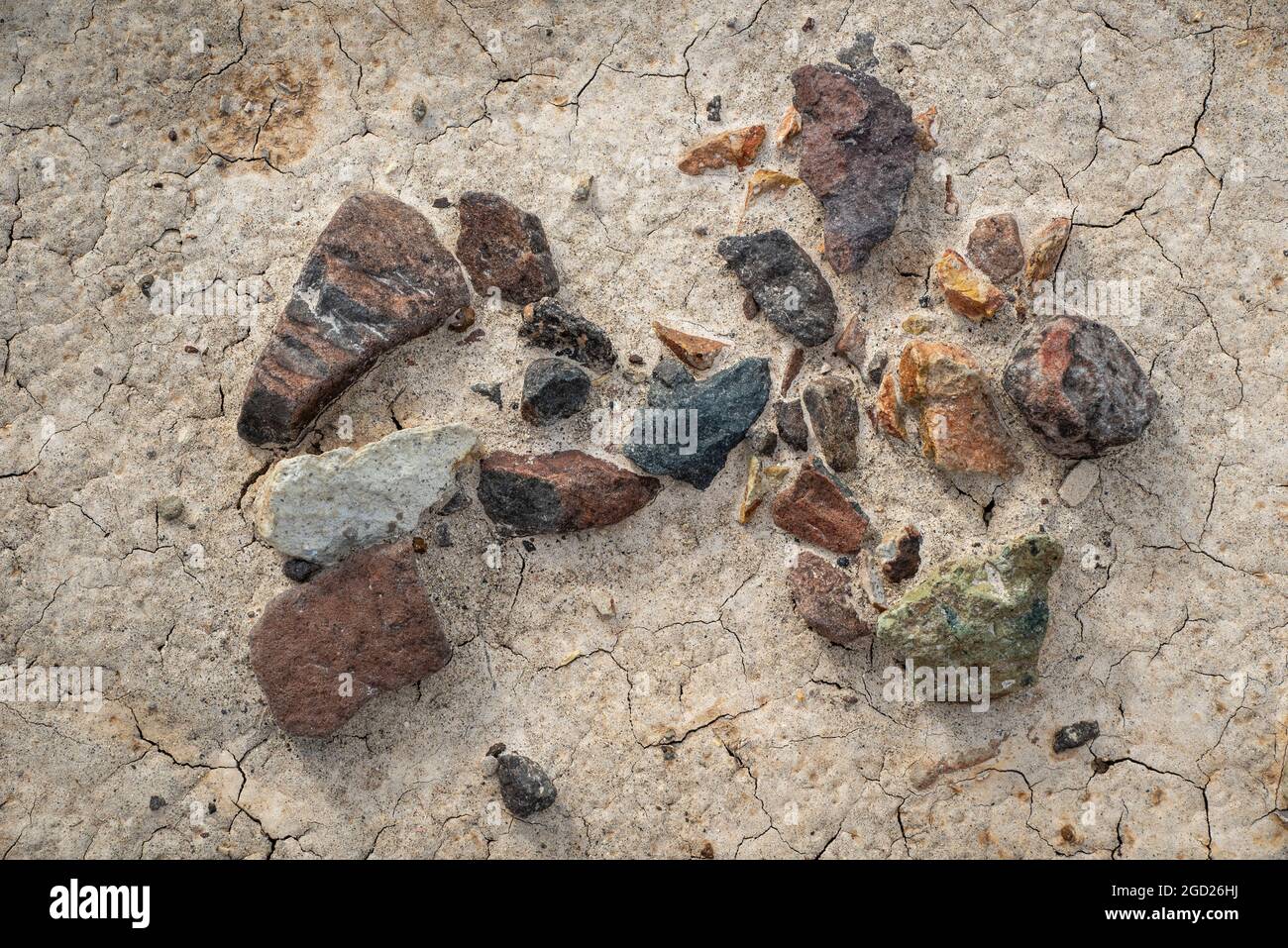 Fossil in pebbles hi-res stock photography and images - Alamy