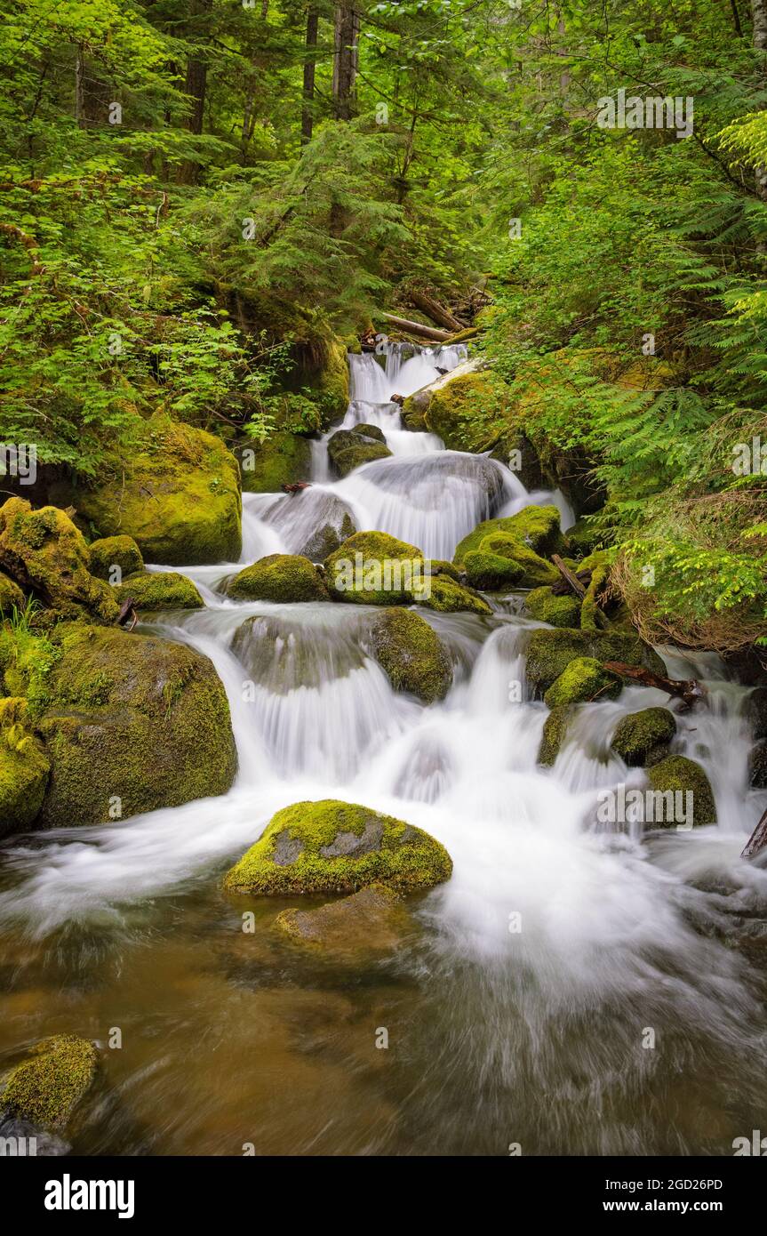Waterfall on Watson Creek, Umpqua National Forest, Oregon Stock Photo ...