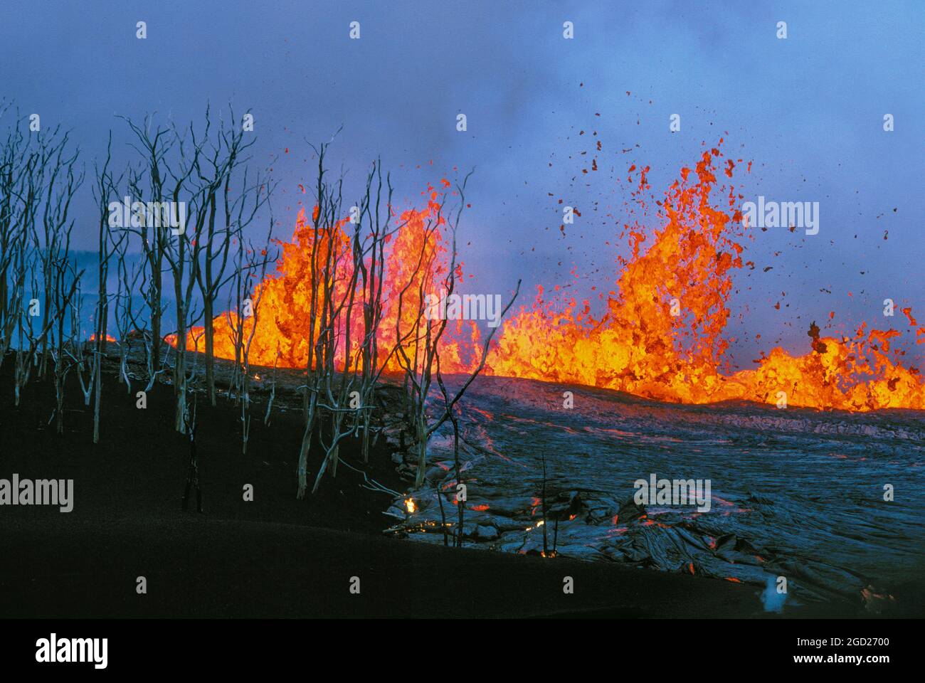Pahoehoe lava flow during eruption hi-res stock photography and images ...
