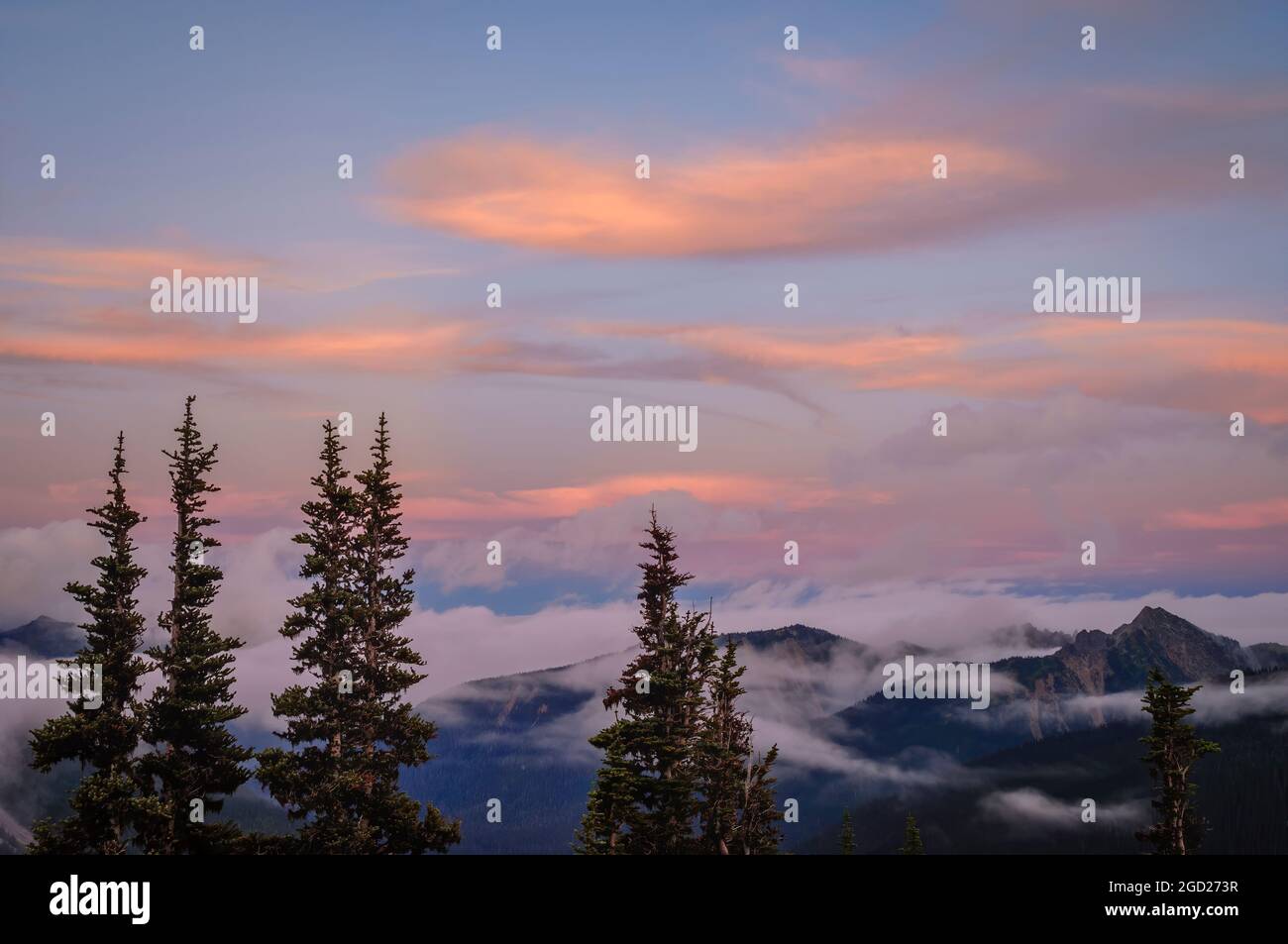 View from Glacier Overlook in the Sunrise district of Mount Rainier ...