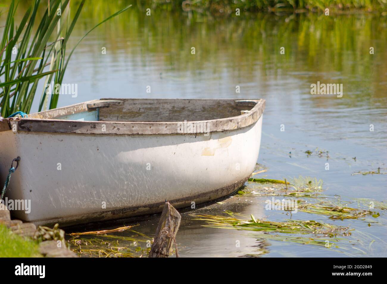 A rowboat tied at rest in a river Stock Photo - Alamy