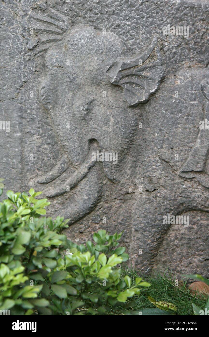 Le dai hanh temple hi-res stock photography and images - Alamy