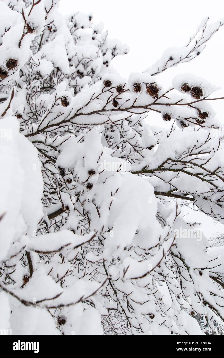 Dreary hi-res stock photography and images - Alamy
