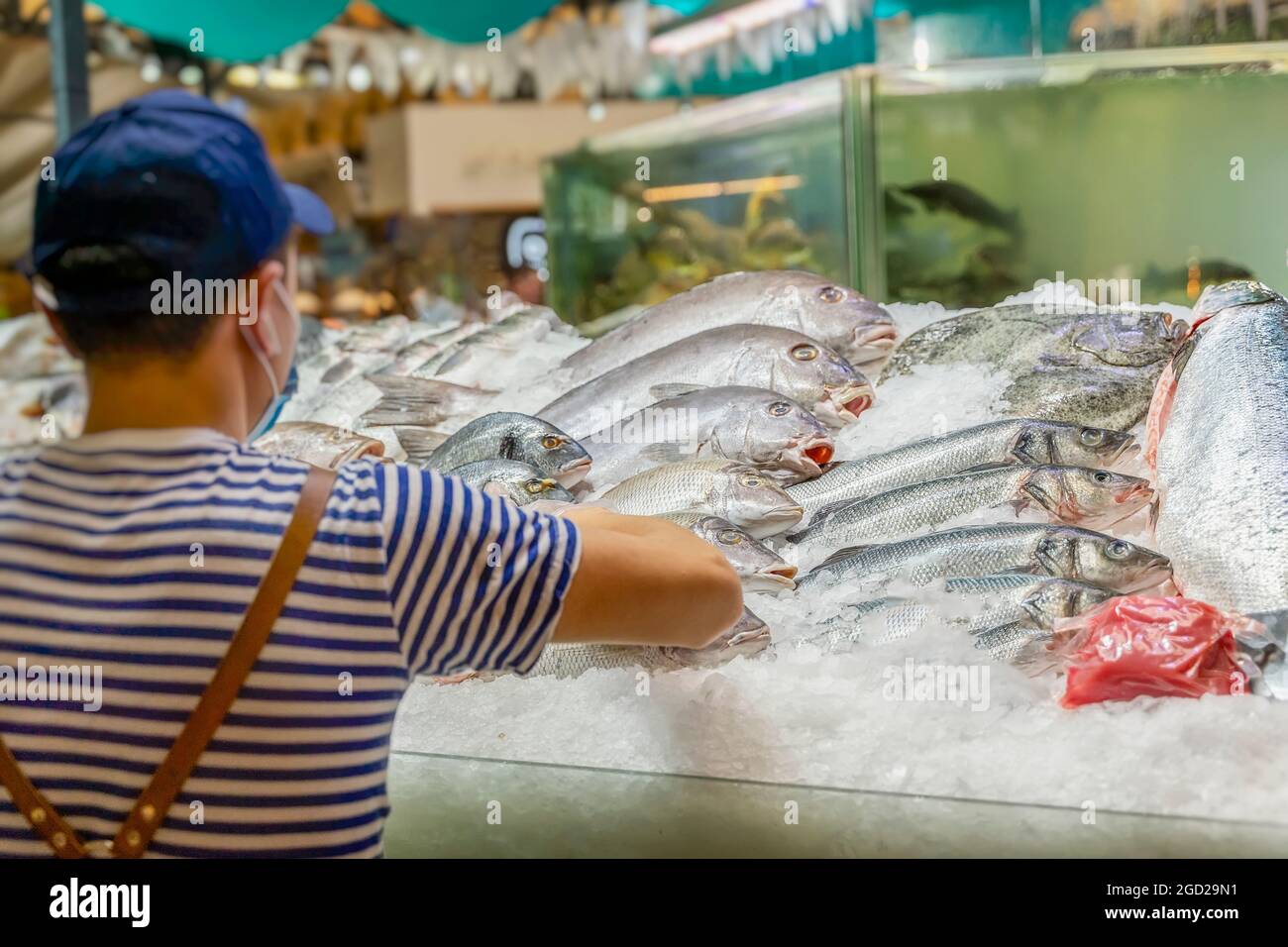 Abstract seller back to us in fish store by counter of seafood market ...