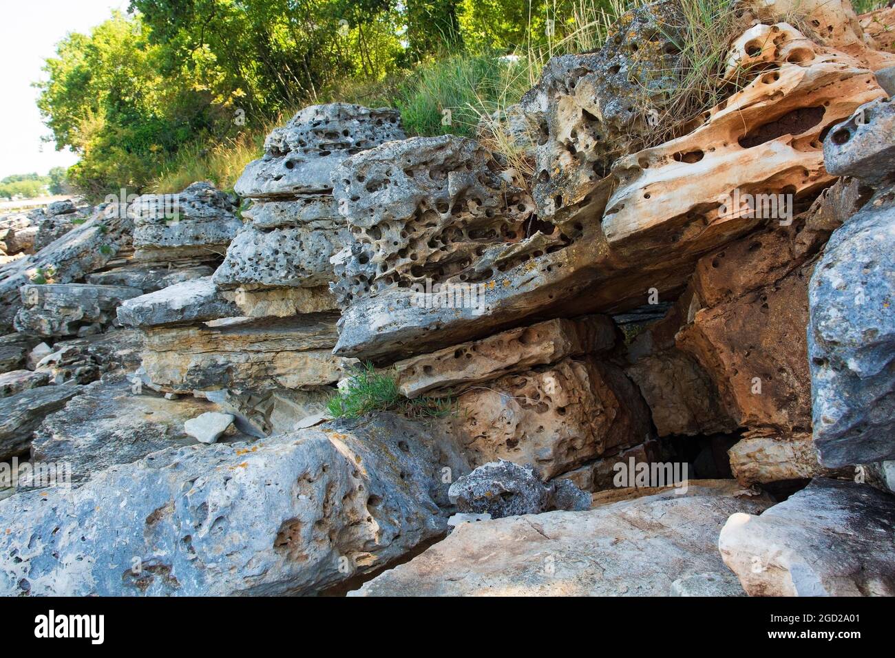 Cretaceous limestone formations at Lokvina beach north of Novigrad, on ...