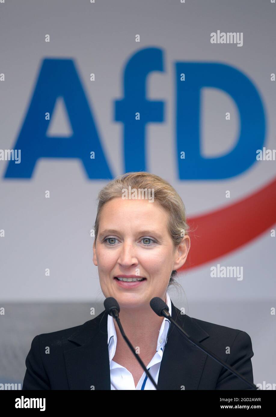 His speech afd hi-res stock photography and images - Alamy