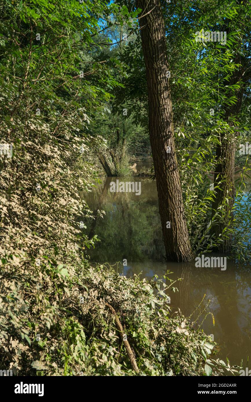 Shore area hi-res stock photography and images - Alamy