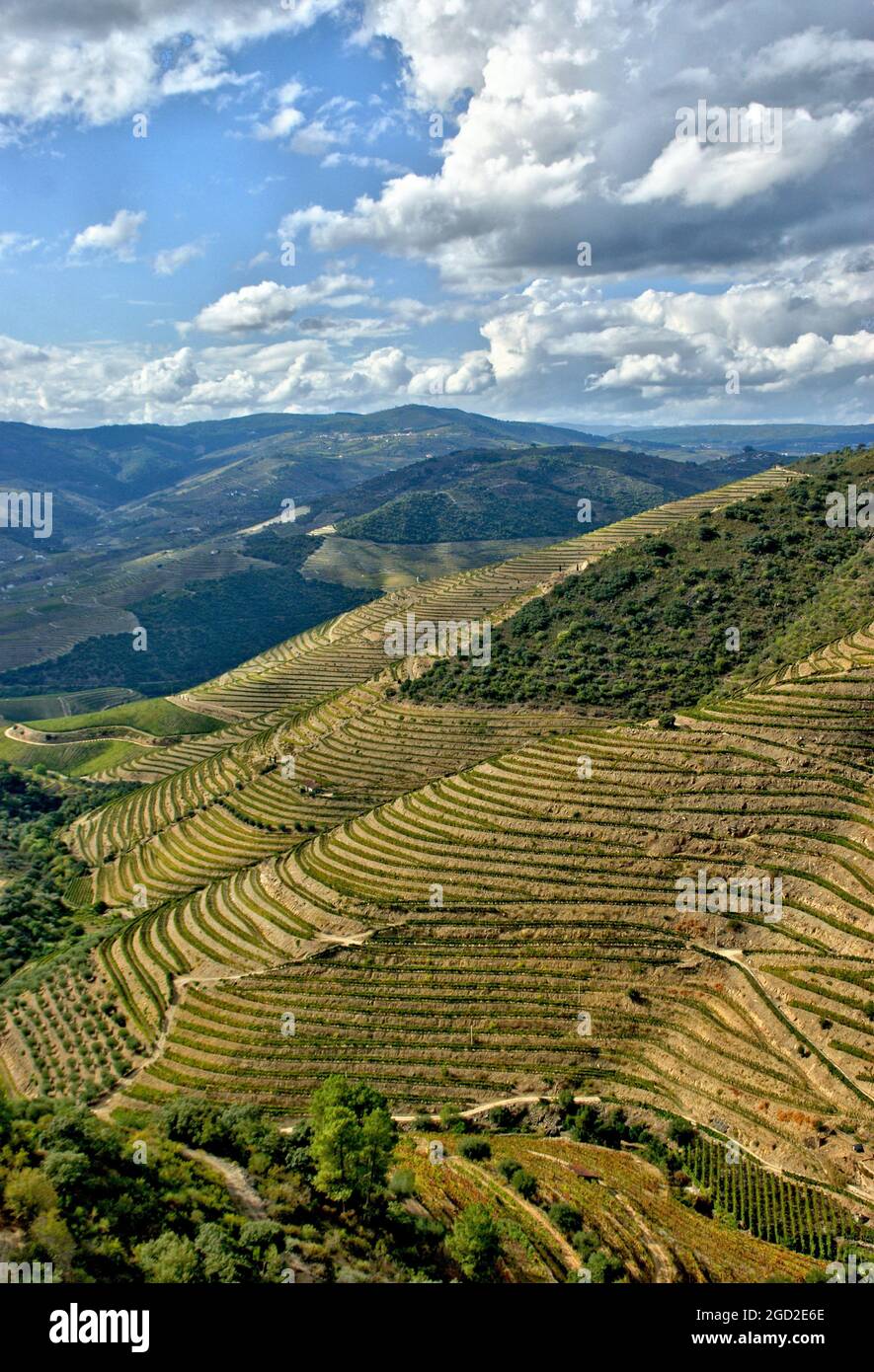 Douro Valley, vineyards and landscape near Regua, Portugal Stock Photo ...