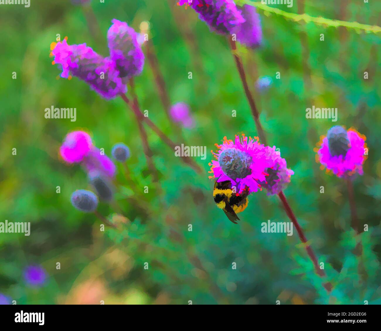 Bee hiding from the rain illustration Stock Photo - Alamy