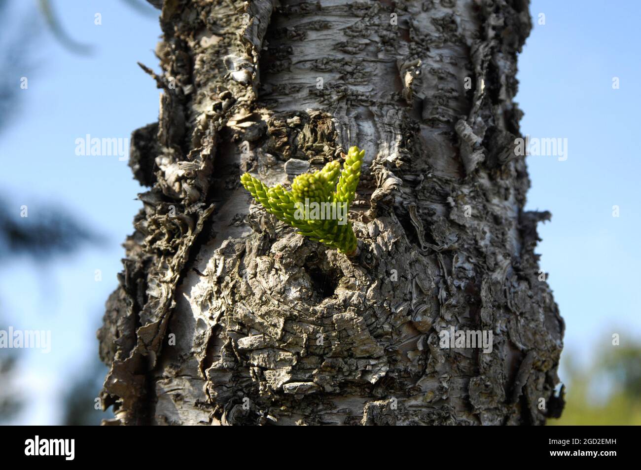Watersprouts hi-res stock photography and images - Alamy