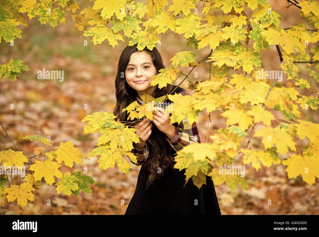 beauty of nature. happy girl with long hair. girl at yellow maple ...