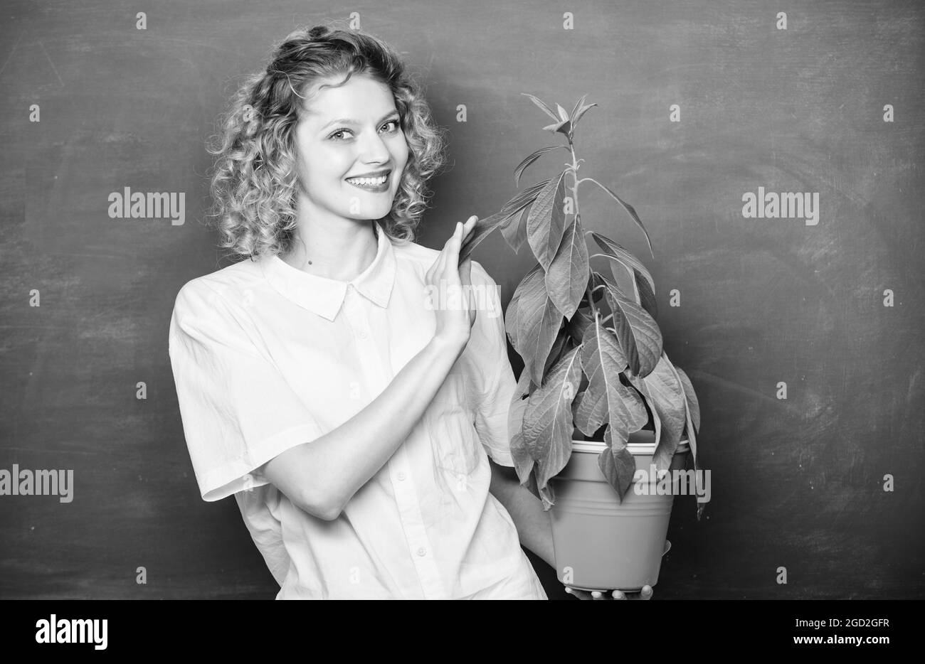 tree of knowledge. school learning ecology. environmental education ...