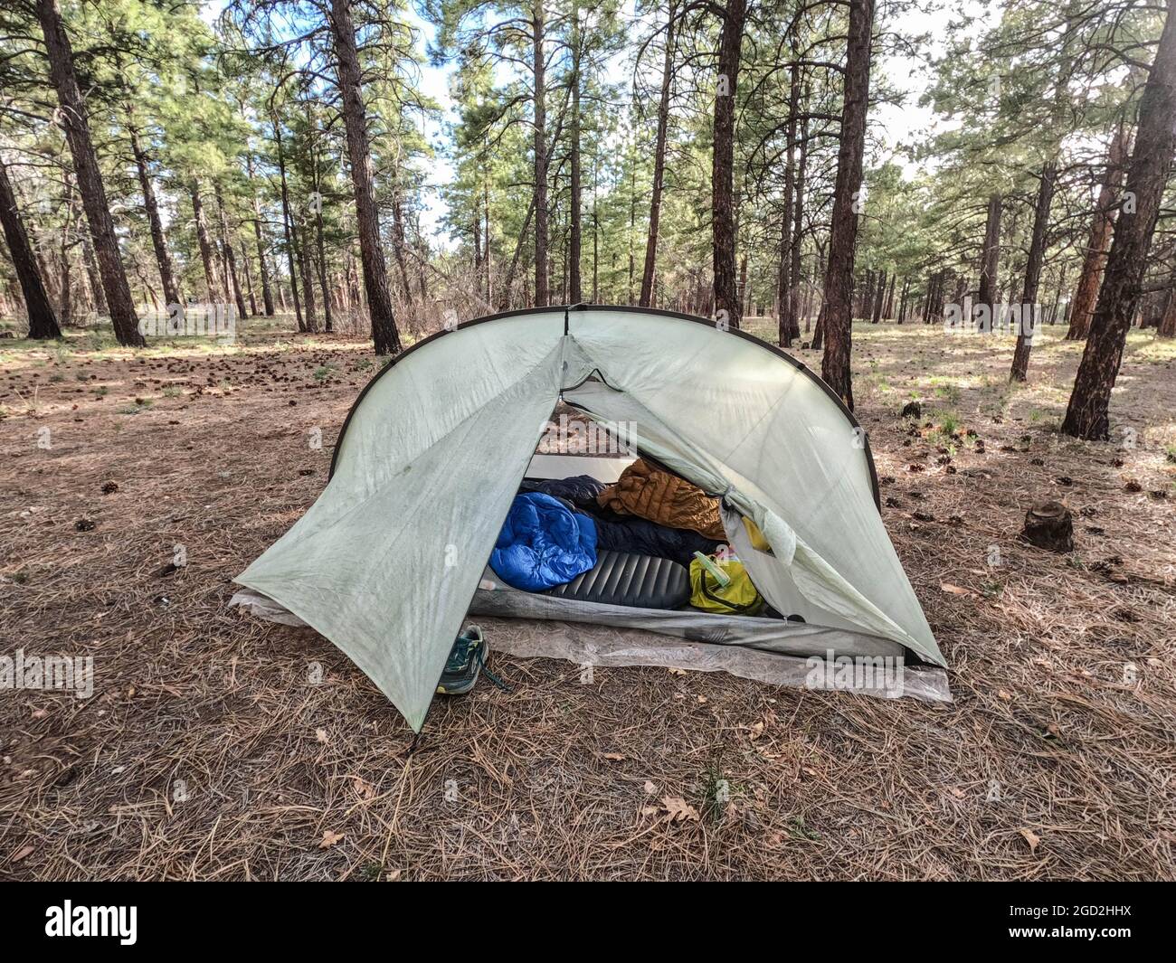 Relaxing & camping in Mather Campground, Grand Canyon National Park ...