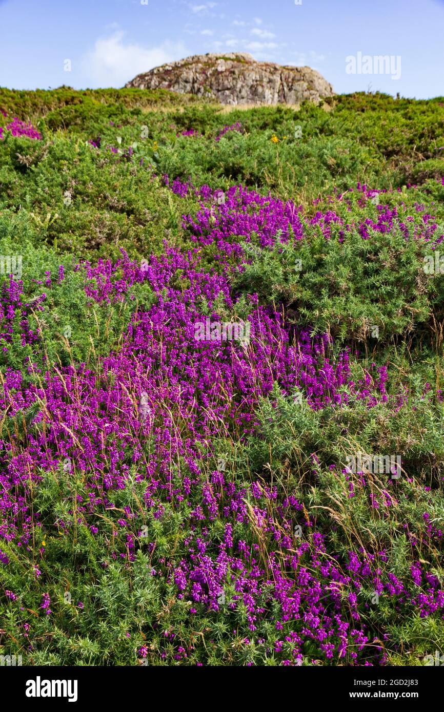 Carn penberry hi-res stock photography and images - Alamy