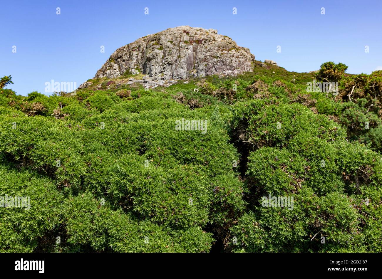 Carn Penberry Pembrokeshire Wales Stock Photo - Alamy