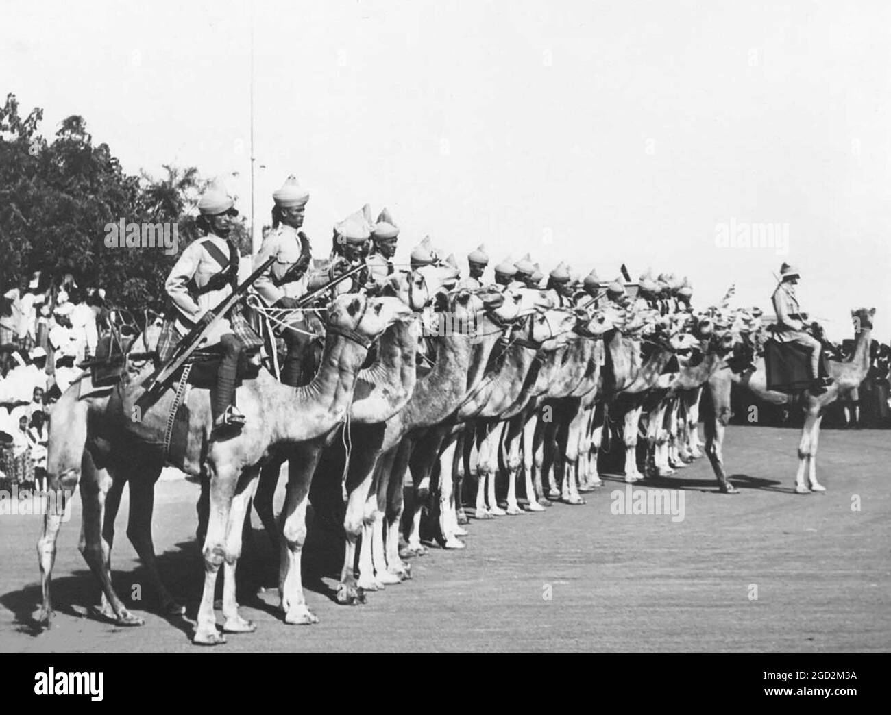 Soldiers on camels hi-res stock photography and images - Alamy