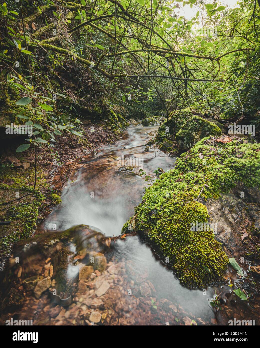 Mesmerizing view of a hidden waterfall in the forest Stock Photo - Alamy
