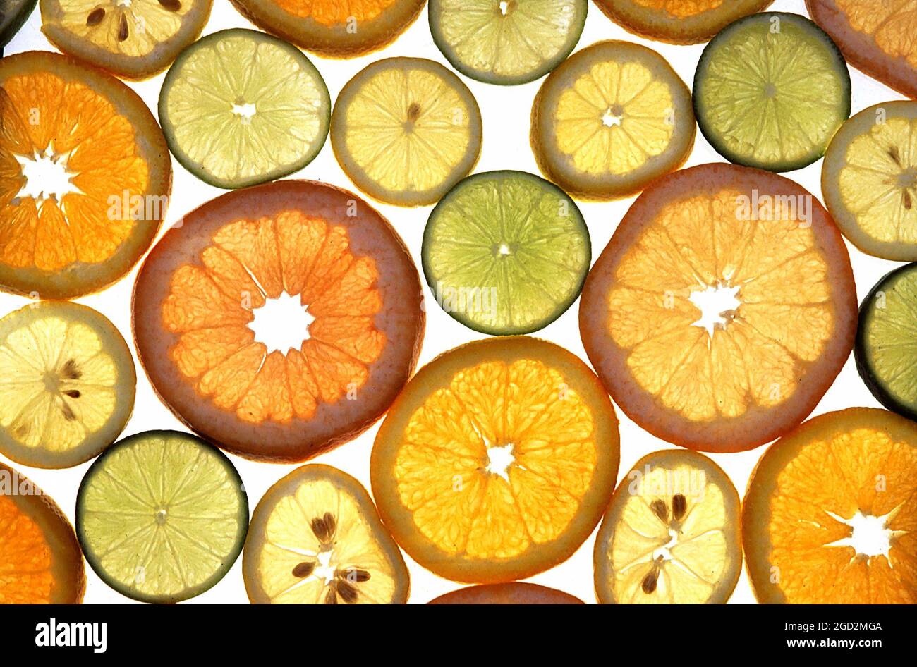 Slices of various citrus fruits, decorative image of citrus fruit close ...