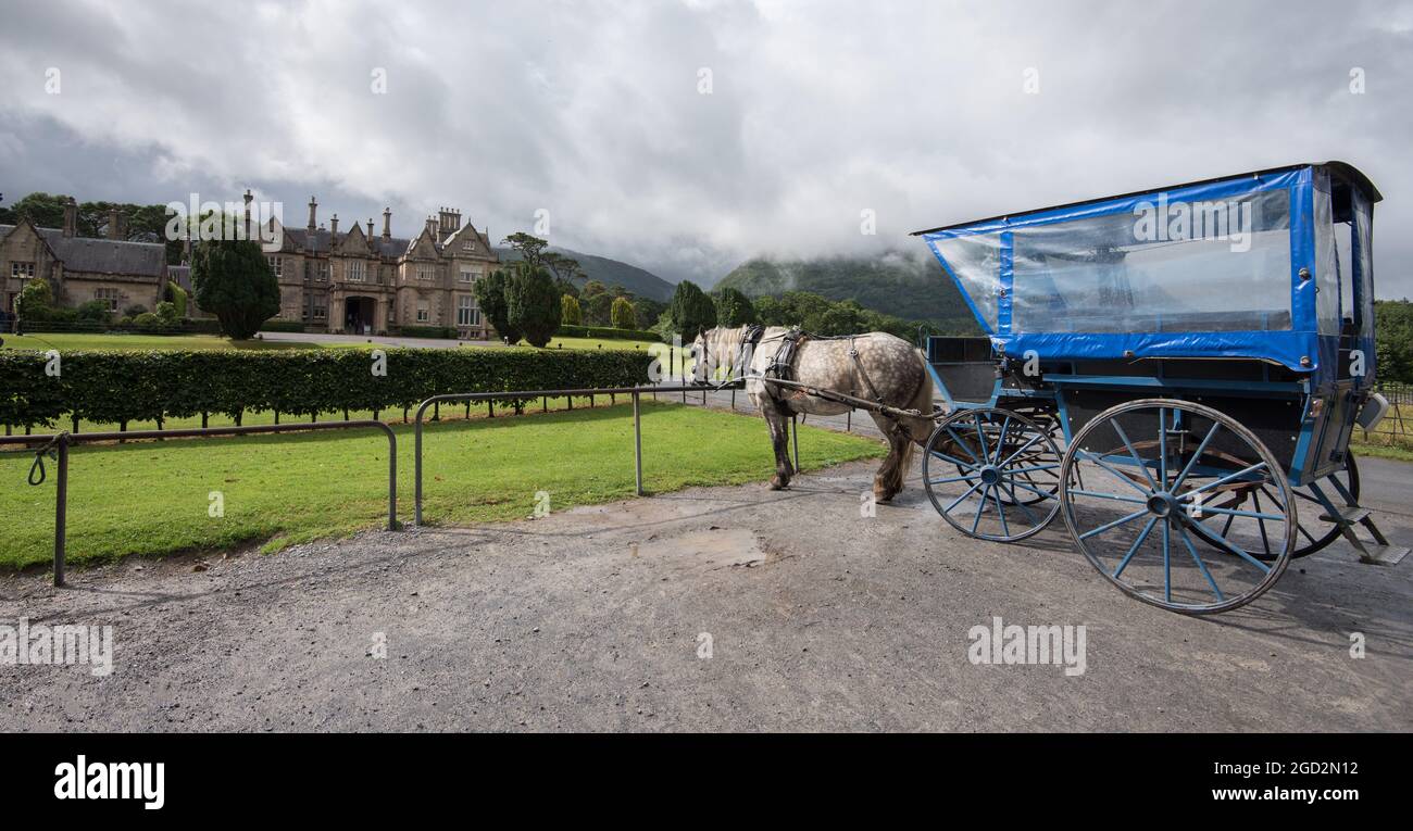 Jaunting cars at Muckross House Killarney Stock Photo - Alamy