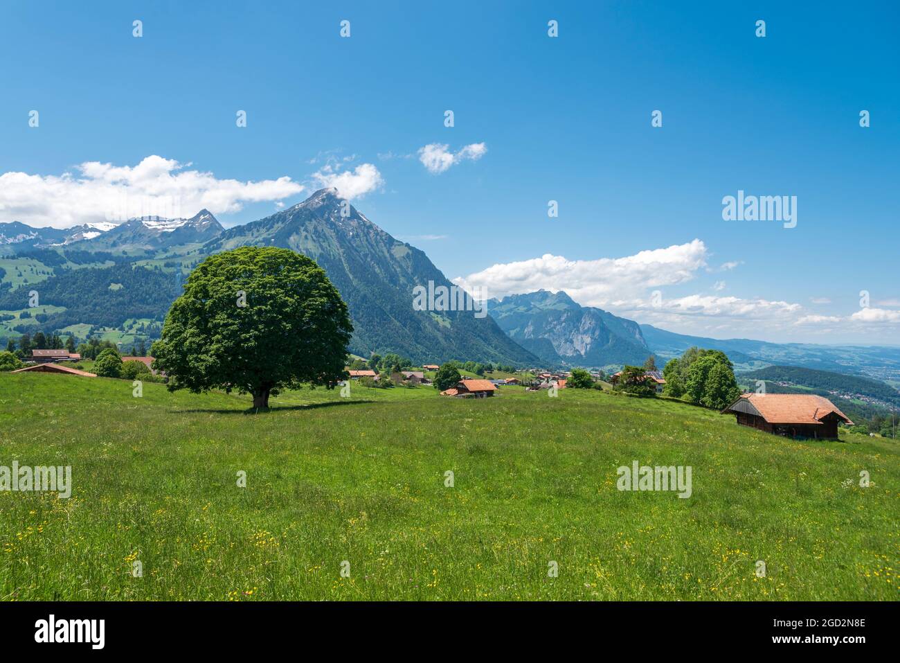 geography / travel, Switzerland, landscape with the mount Niesen ...