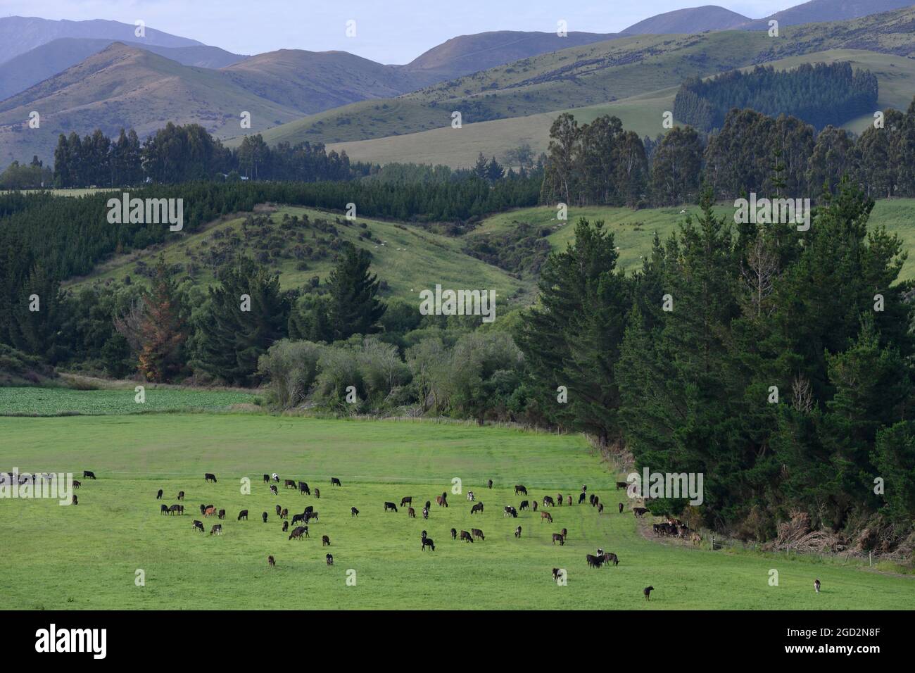 Lumsden new zealand hi-res stock photography and images - Alamy