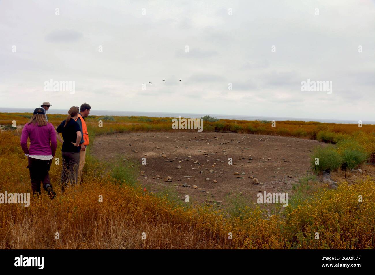 Dry vernal pool at Camp Pendleton ca. 7 June 2017 Stock Photo - Alamy
