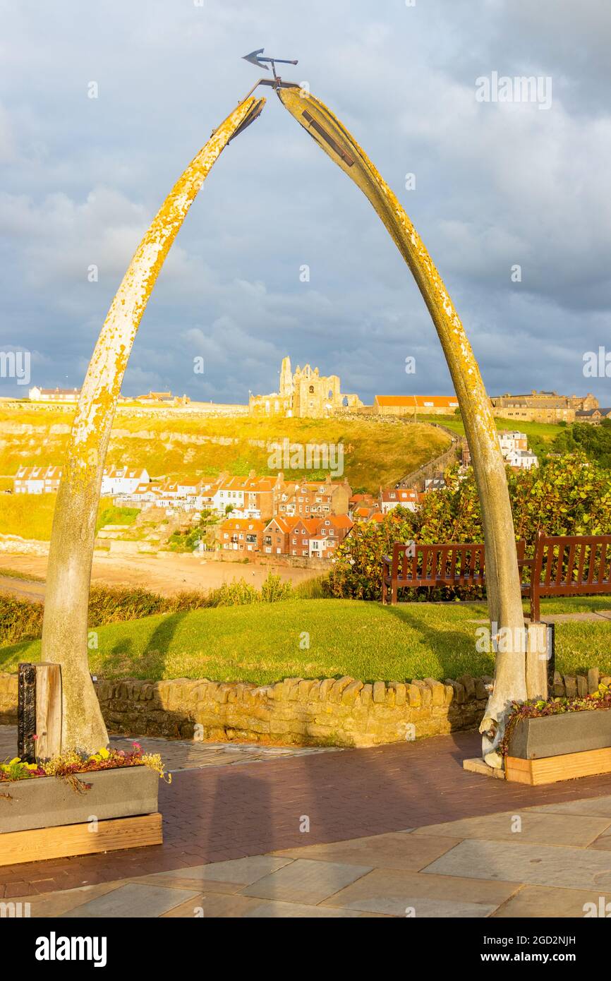 the ruins of Whitby Abbey framed by the whalebone arch in the evening ...